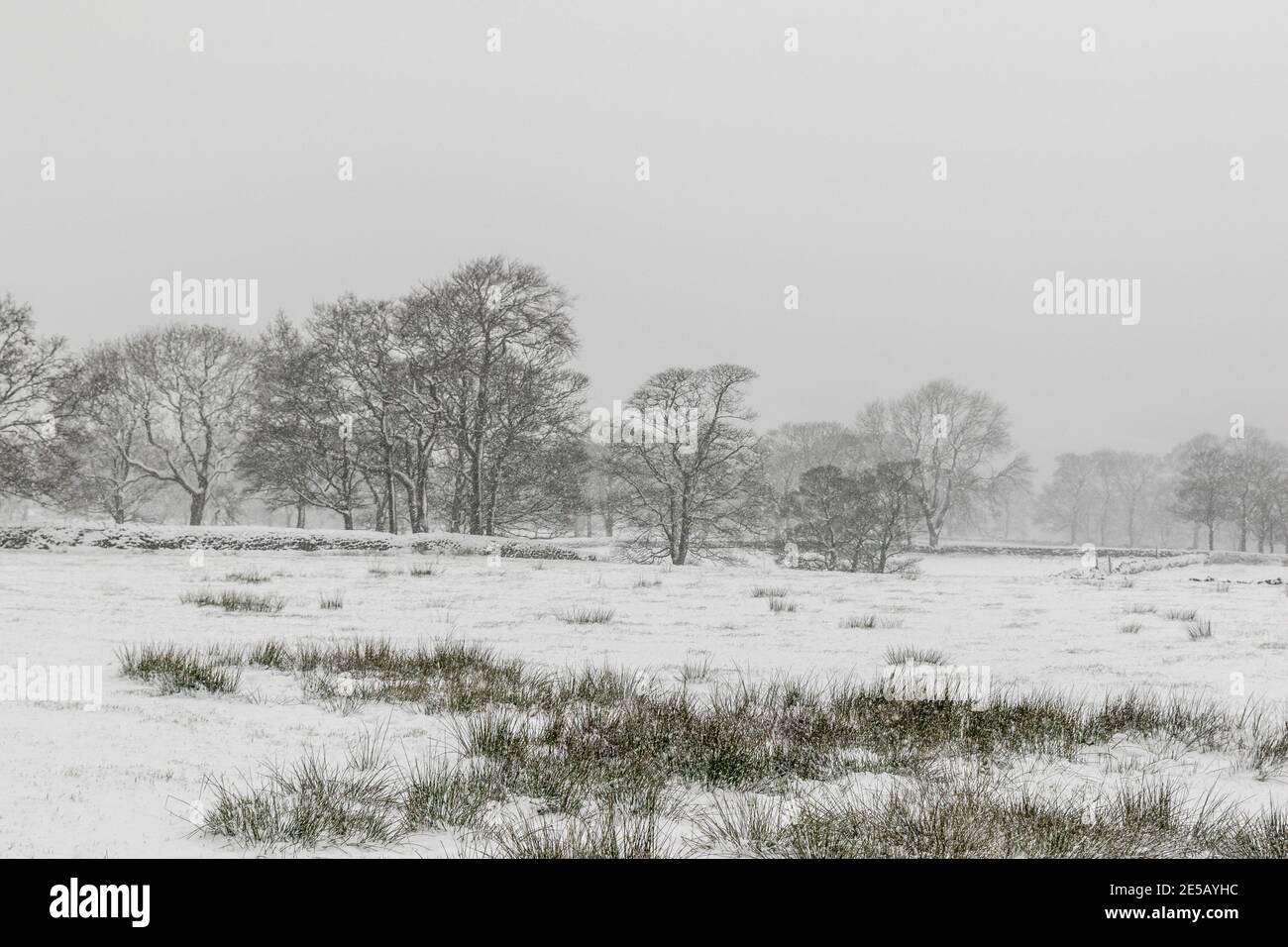 Snow covers the landscape, Yorkshire UK Stock Photo - Alamy