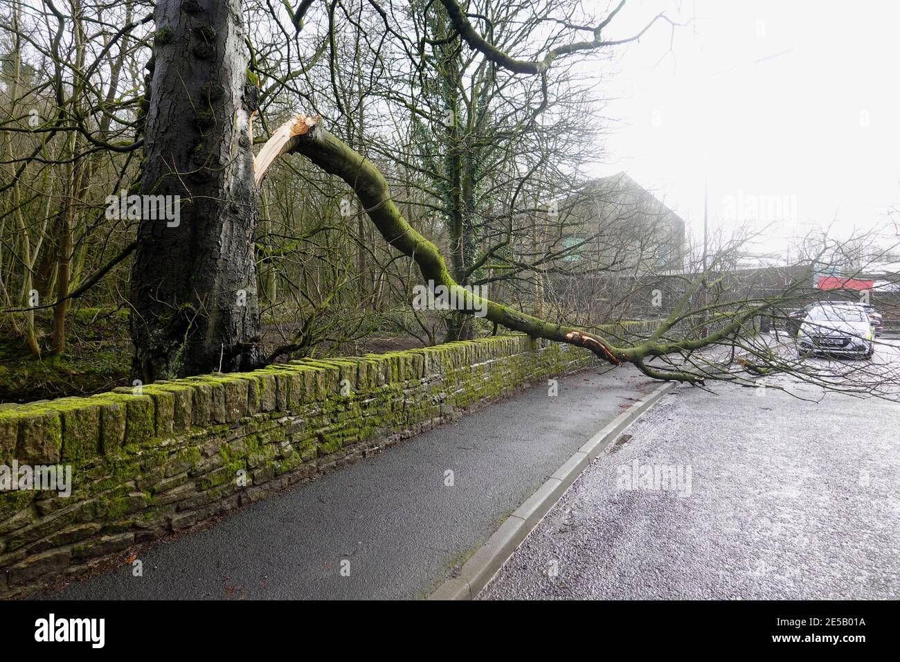 A broken branch at the New Mills Nature Reserve in Derbyshire has ...