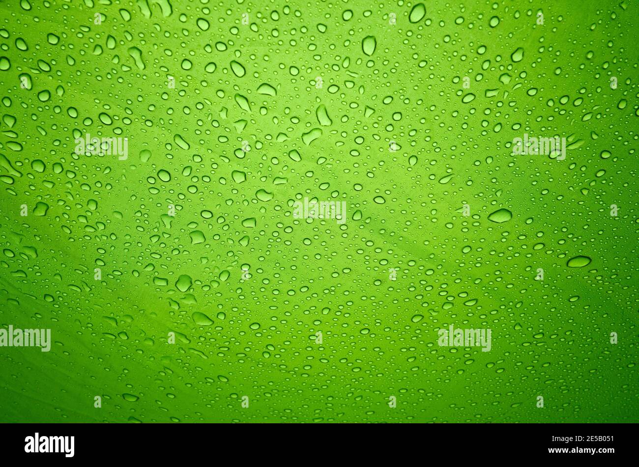 Rain drops on the solid abstract green background. Bright shiny pattern ...