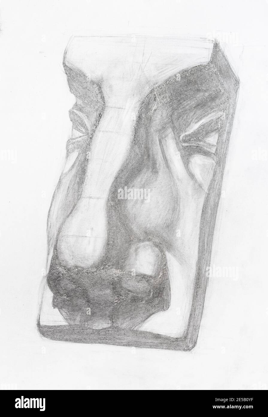 academic drawing - separate male nose, plaster cast fragment of David's ...