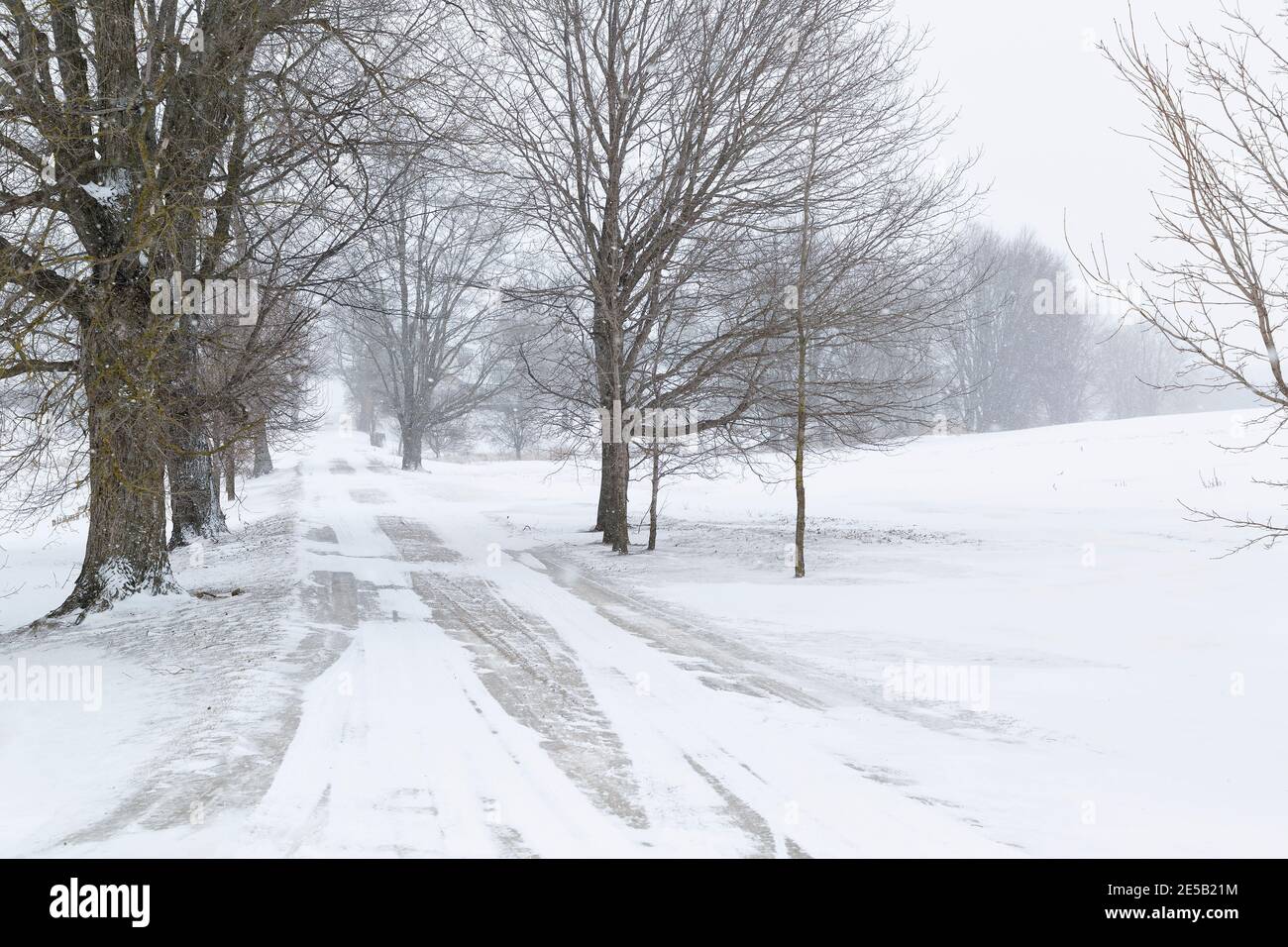 Ontario Canada. Snow covered farm lane during snow storm Stock Photo ...