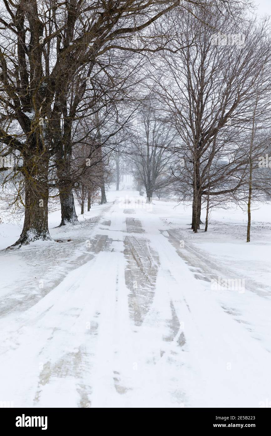 Ontario Canada. Snow covered farm lane during snow storm Stock Photo ...