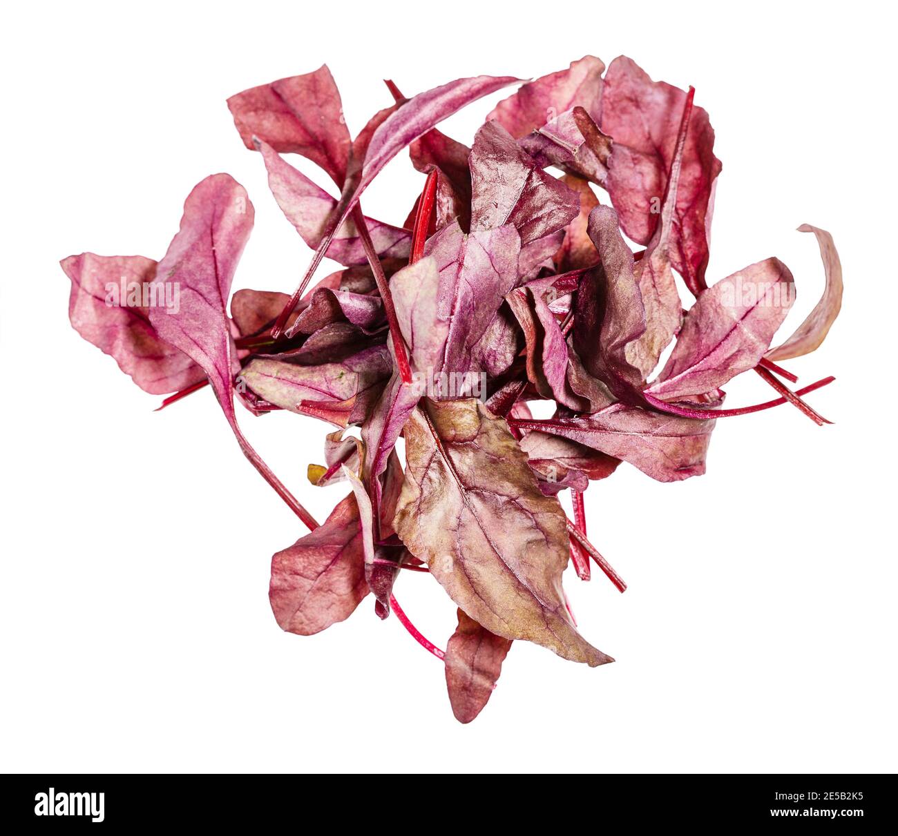 pile of fresh leaves of red Chard leafy vegetable (mangold, beet tops ...