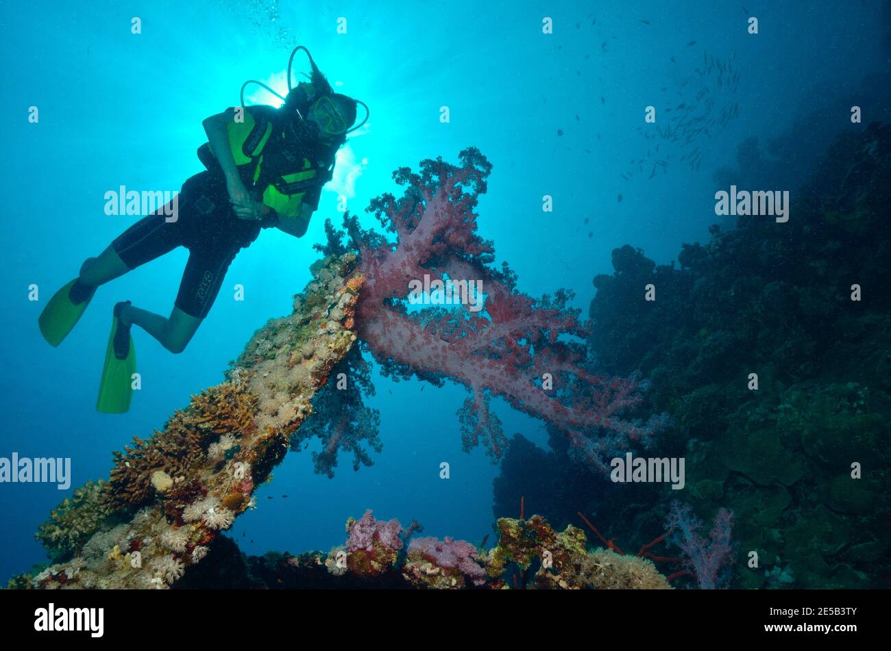 Coraya Beach, Rotes Meer, Ägypten, Red Sea, Egypt Stock Photo - Alamy