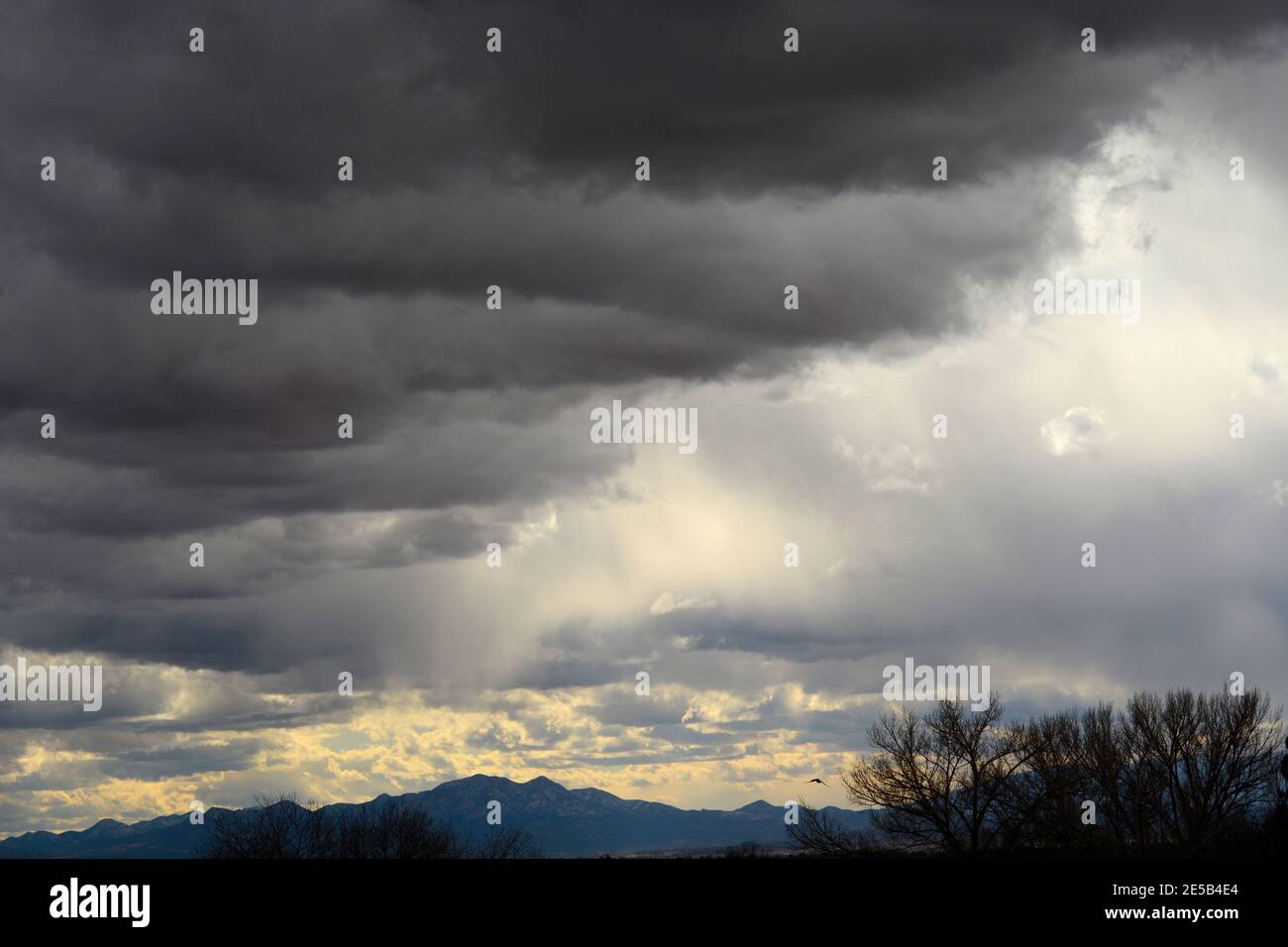 Dark and threatening cumulus clouds form in the sky on a cold winter ...