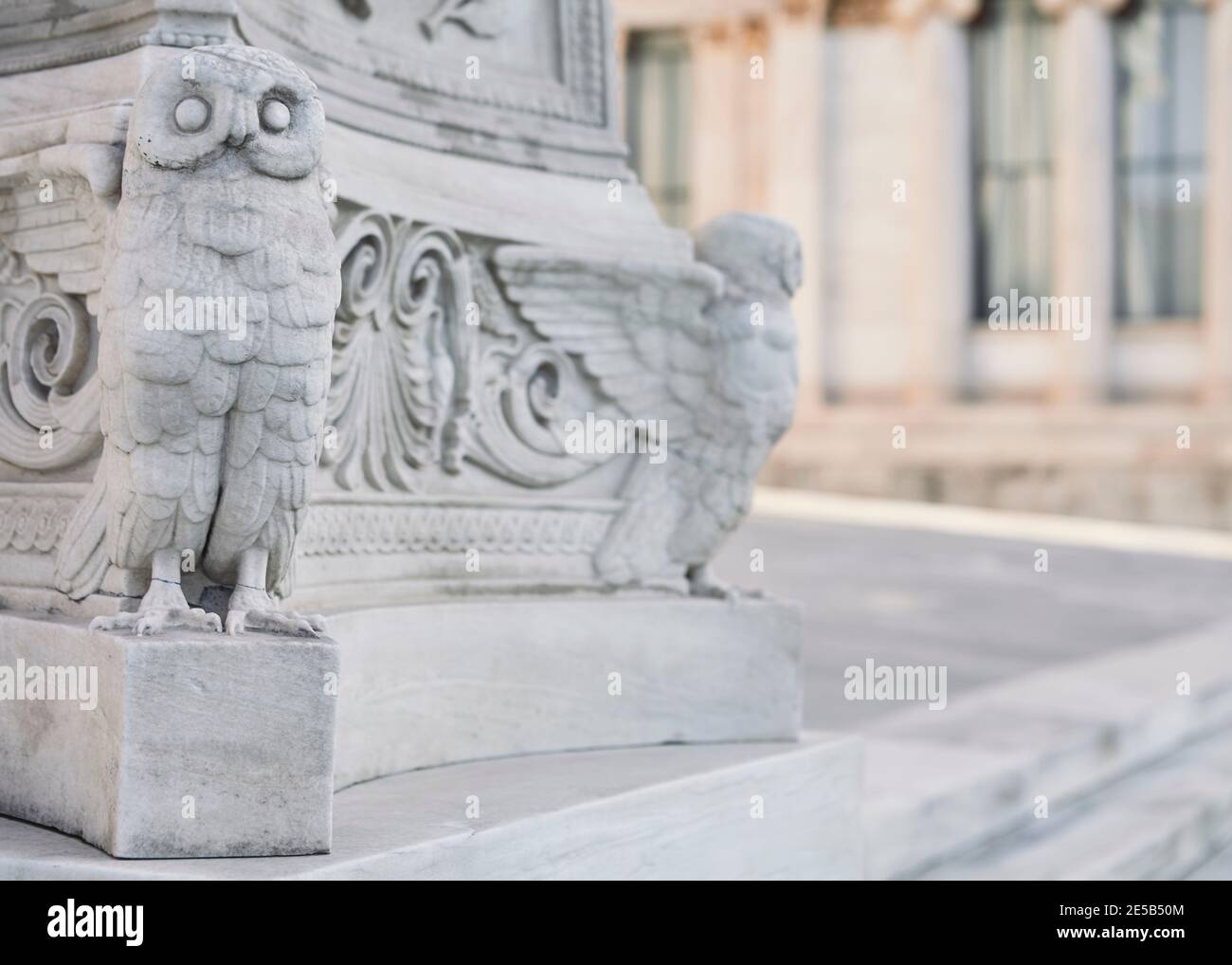 Athens academy owl Stock Photo - Alamy