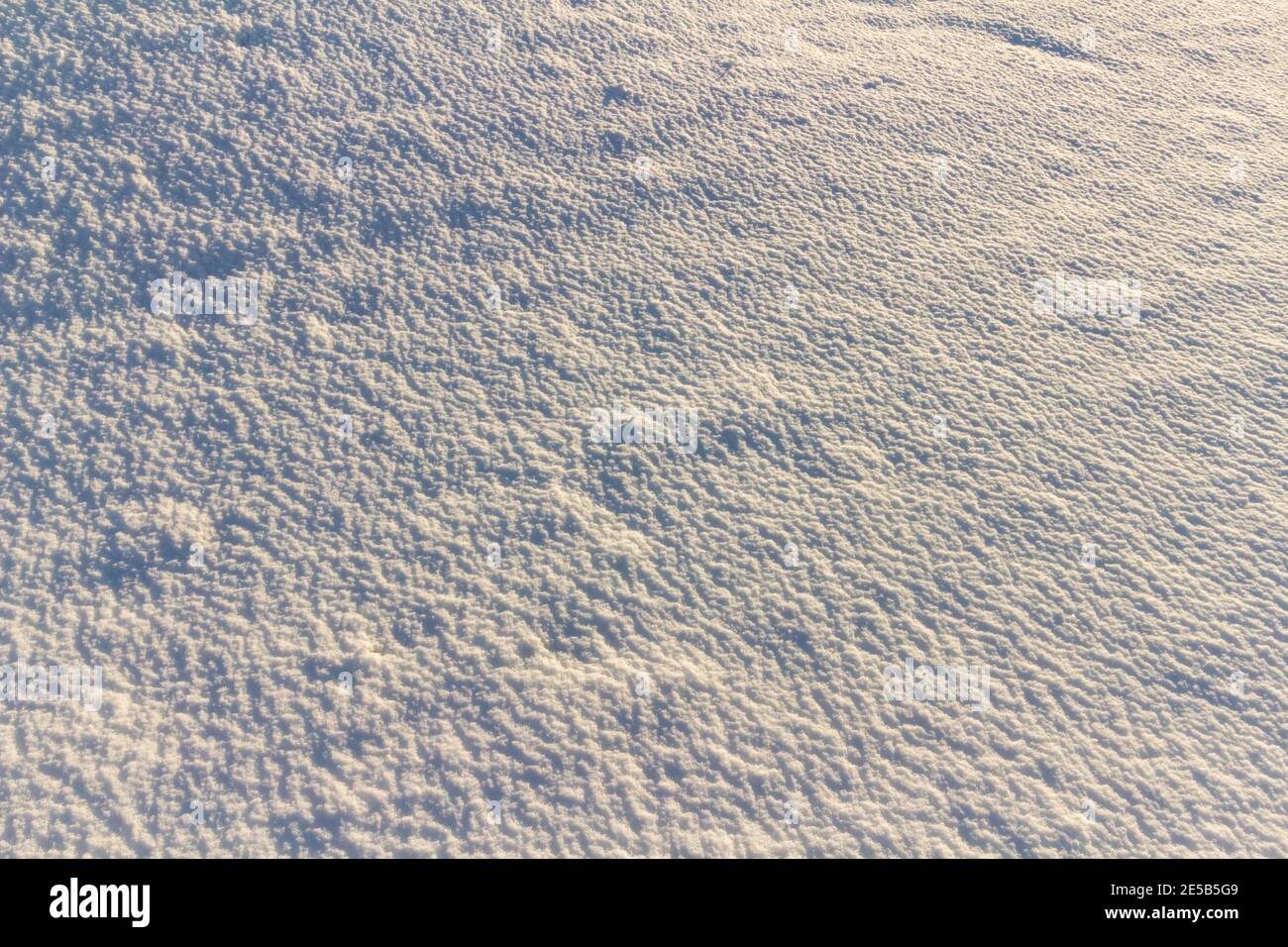 Fresh untrodden snow texture in winter Stock Photo - Alamy