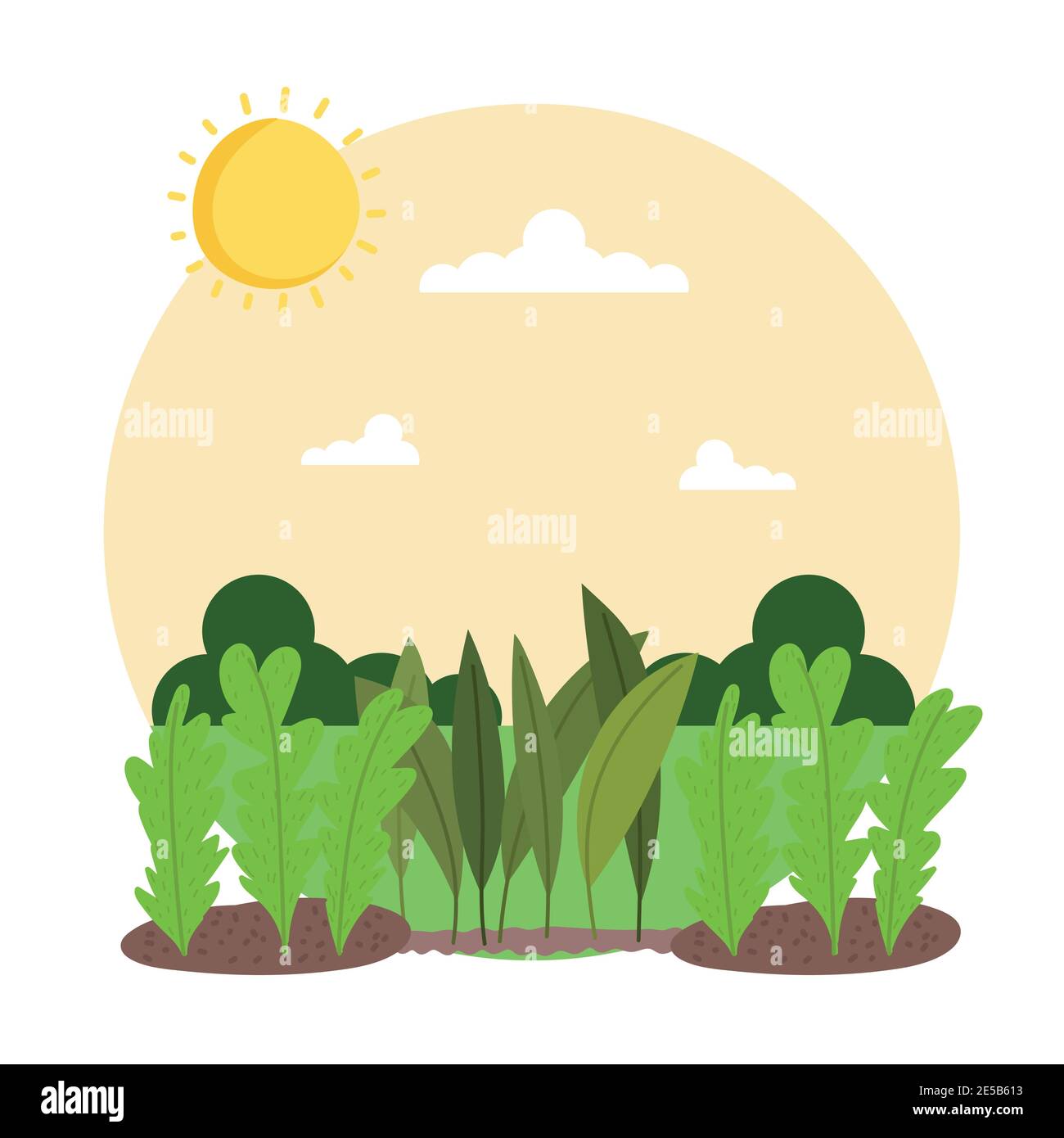 Gardening planting of plants in soil sunny day cartoon vector ...