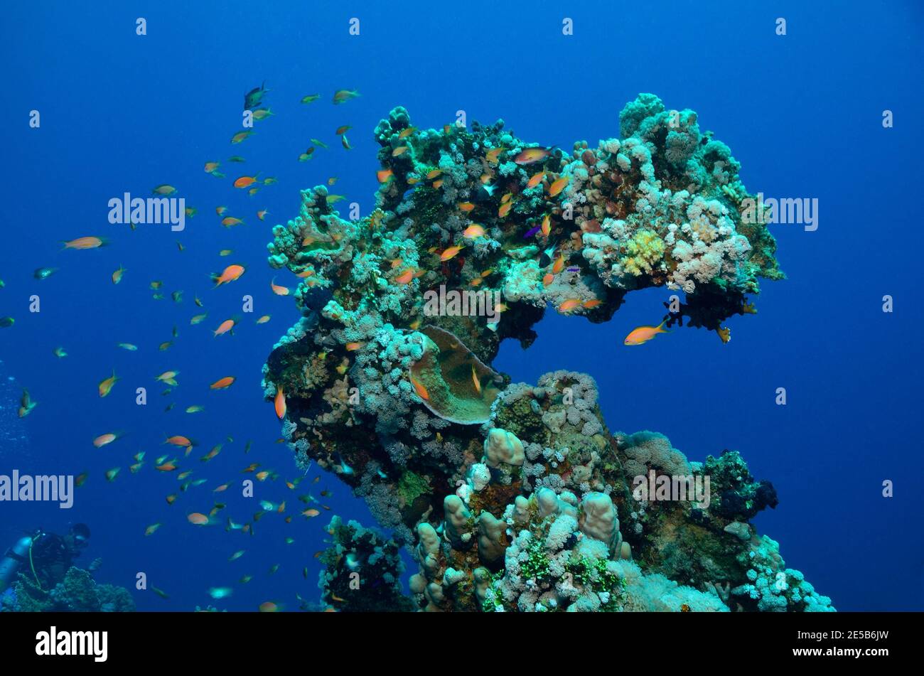 Coraya Beach, Rotes Meer, Ägypten, Red Sea, Egypt Stock Photo - Alamy
