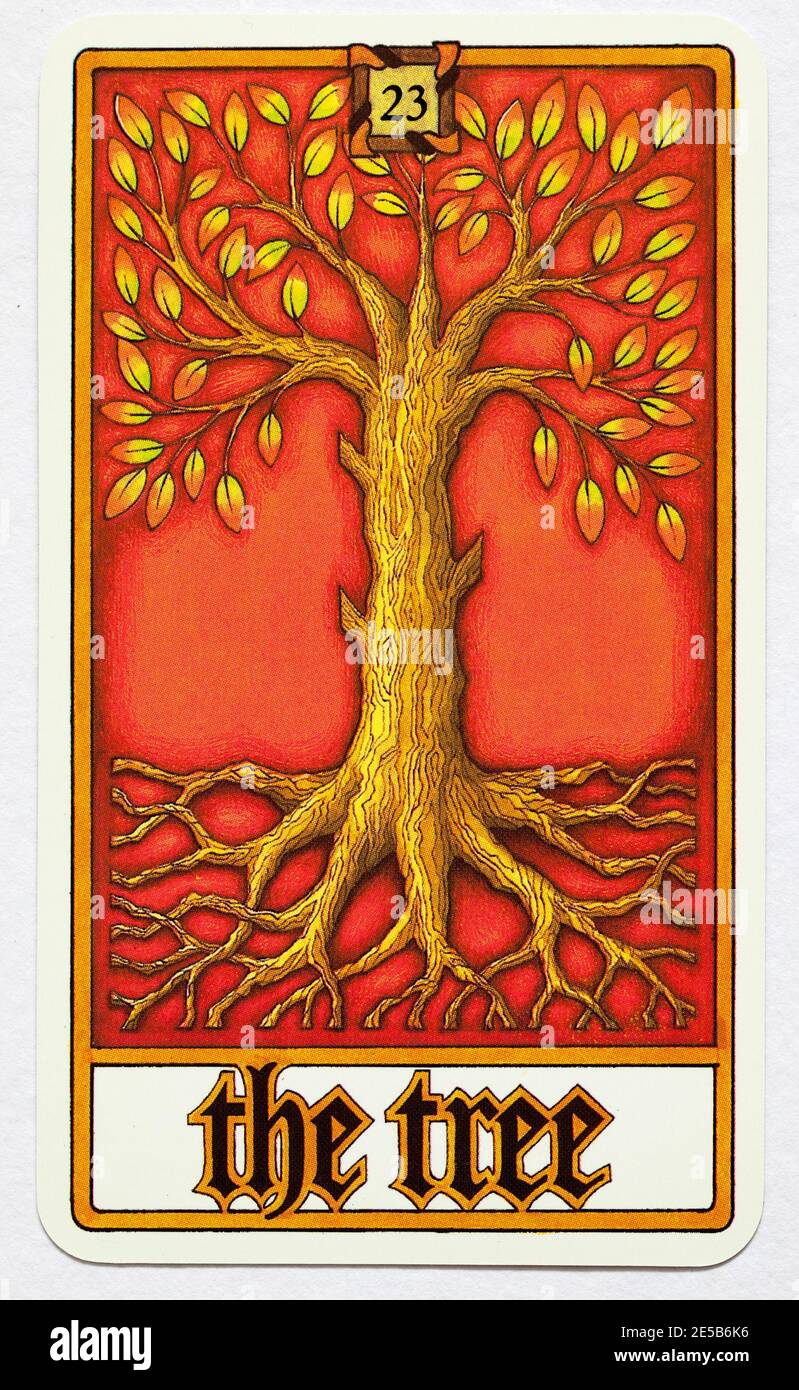 Carl jung tree hi-res stock photography and images - Alamy