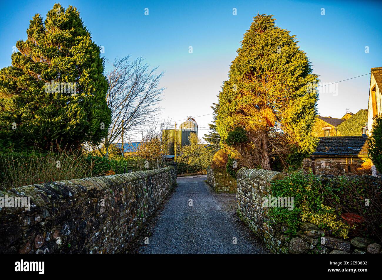 Working sheep cattle farm hi-res stock photography and images - Alamy