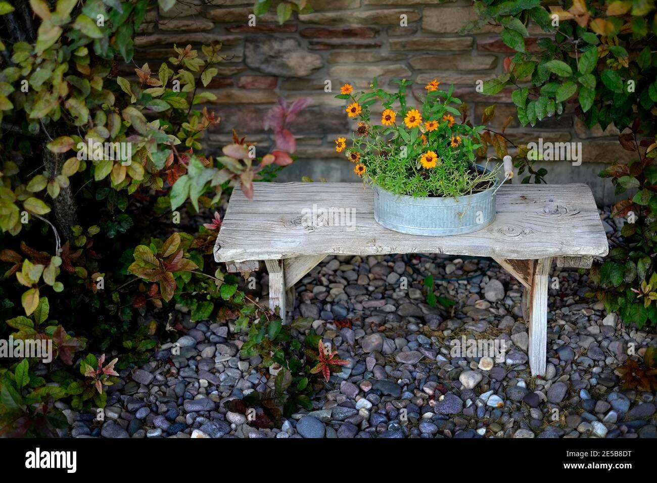 Wooden bench with flower arrangement garden plants Stock Photo - Alamy