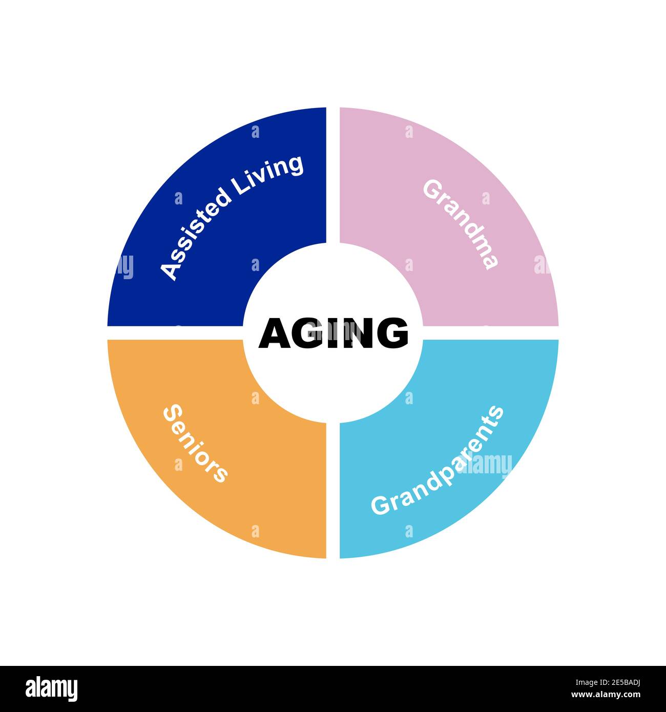 Human life cycle diagram hi-res stock photography and images - Alamy