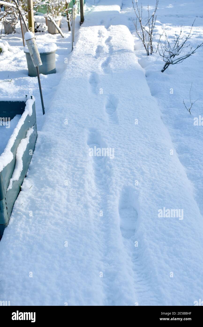 close up of footpath covered in deep snow showing footprints. The foot ...