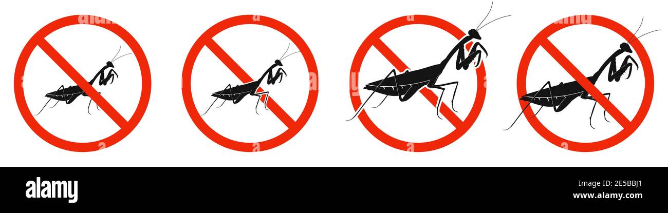 Dead mantis Stock Vector Images - Alamy