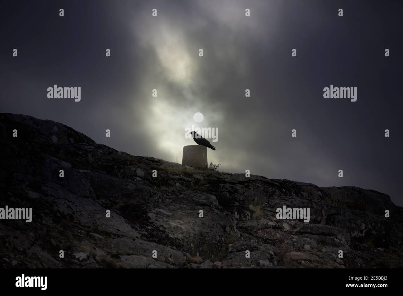 Crow and full moon hi-res stock photography and images - Alamy