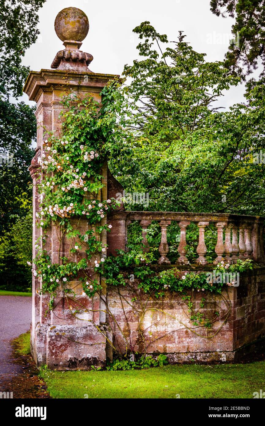 Entrance pillar to a stately home covered in roses and creepers Stock ...