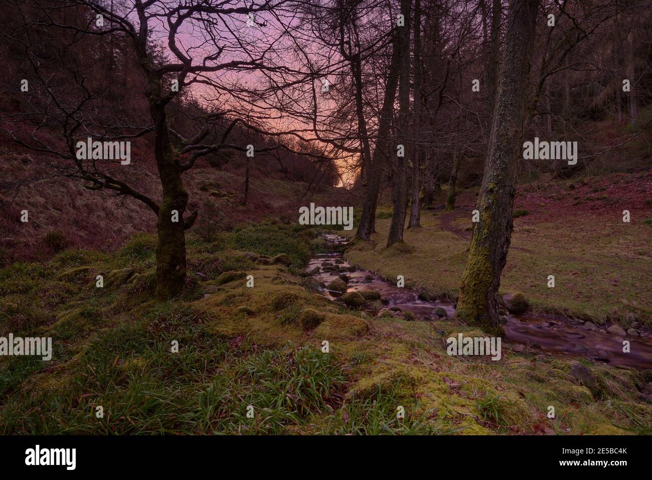 Dull dawn hi-res stock photography and images - Alamy