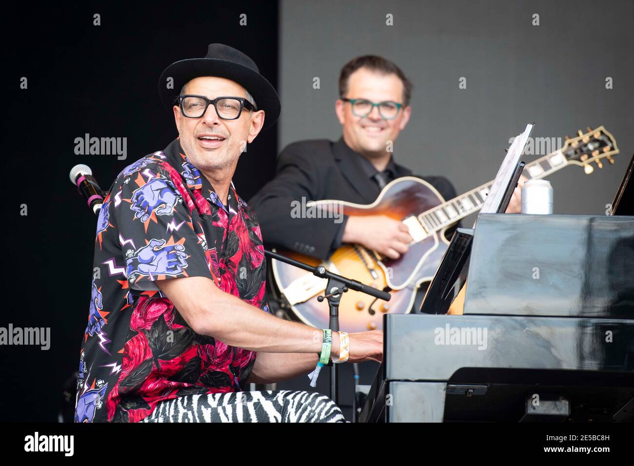 Jeff goldblum and the fly hi-res stock photography and images - Alamy