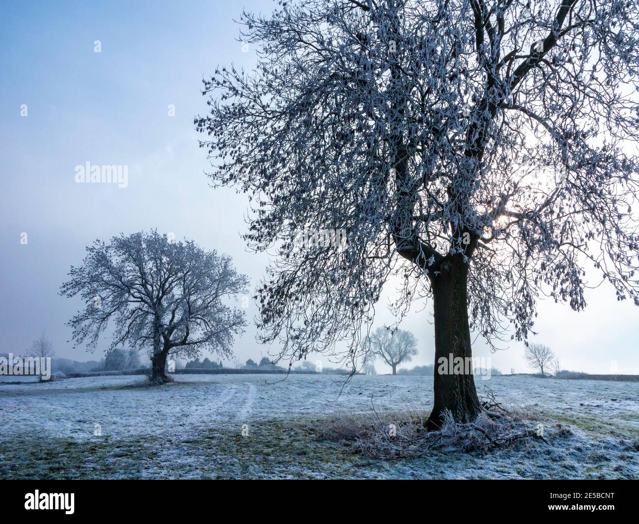 Winter view with frost covered trees and snow at Crich in the Amber ...