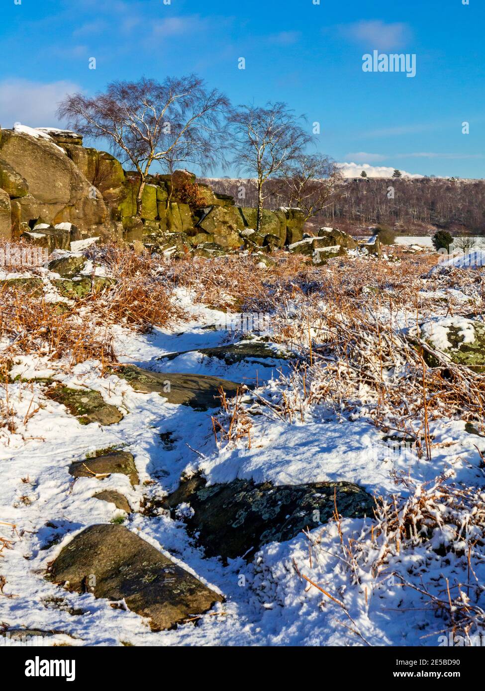 Winter view with trees and snow covered rocks at Gardom's Edge near ...
