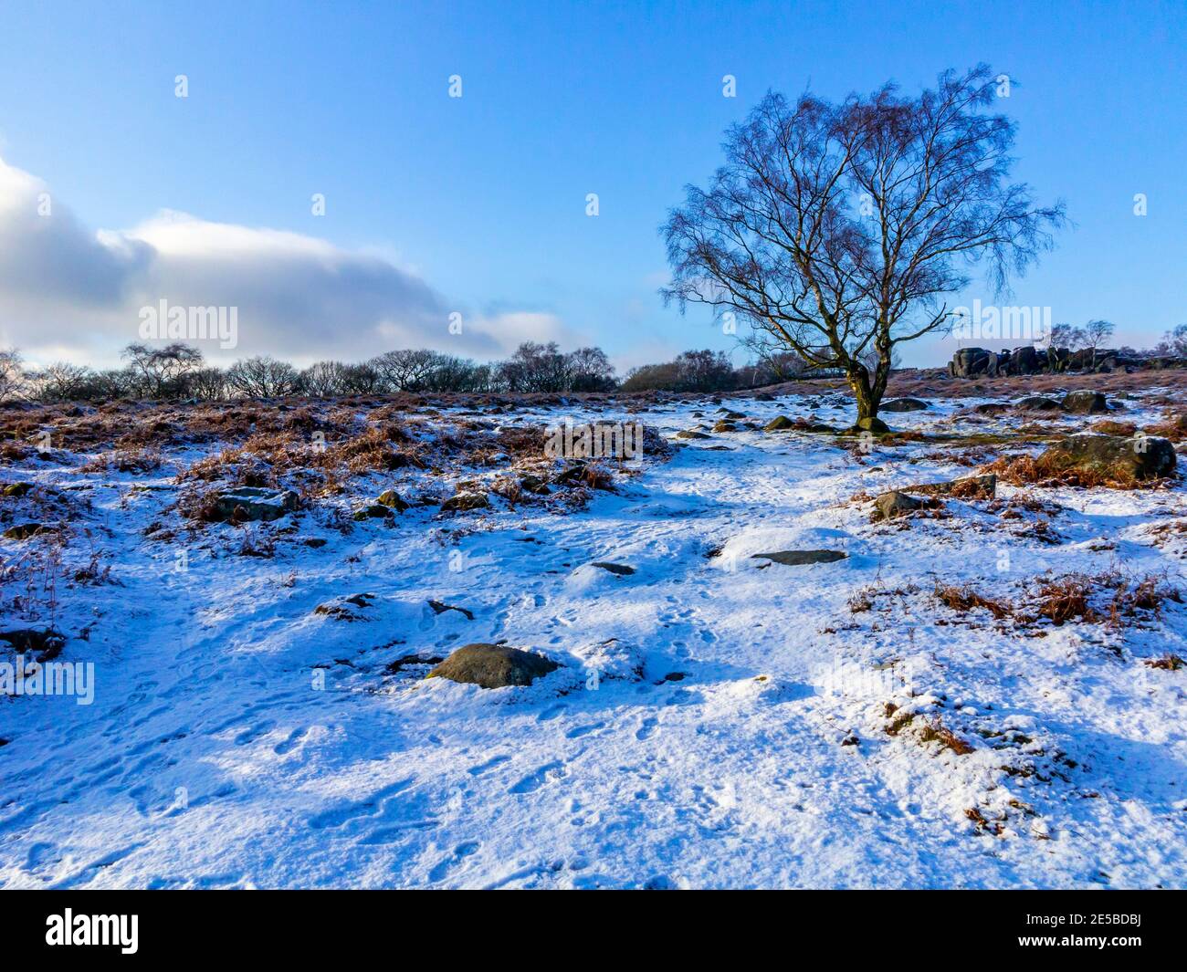 Winter view with trees and snow covered rocks at Gardom's Edge near ...