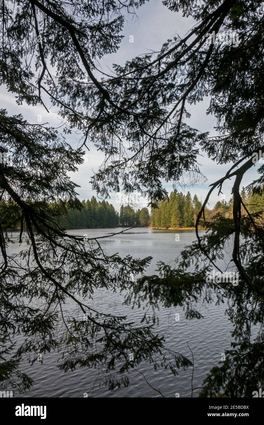 Round Lake in Lacamas Park in Vancouver, Washington Stock Photo - Alamy