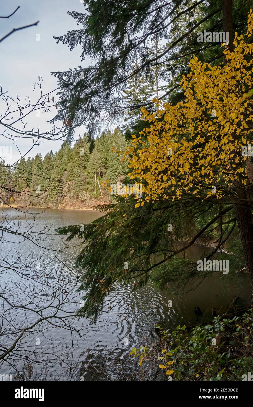 Round Lake in Lacamas Park in Vancouver, Washington Stock Photo - Alamy