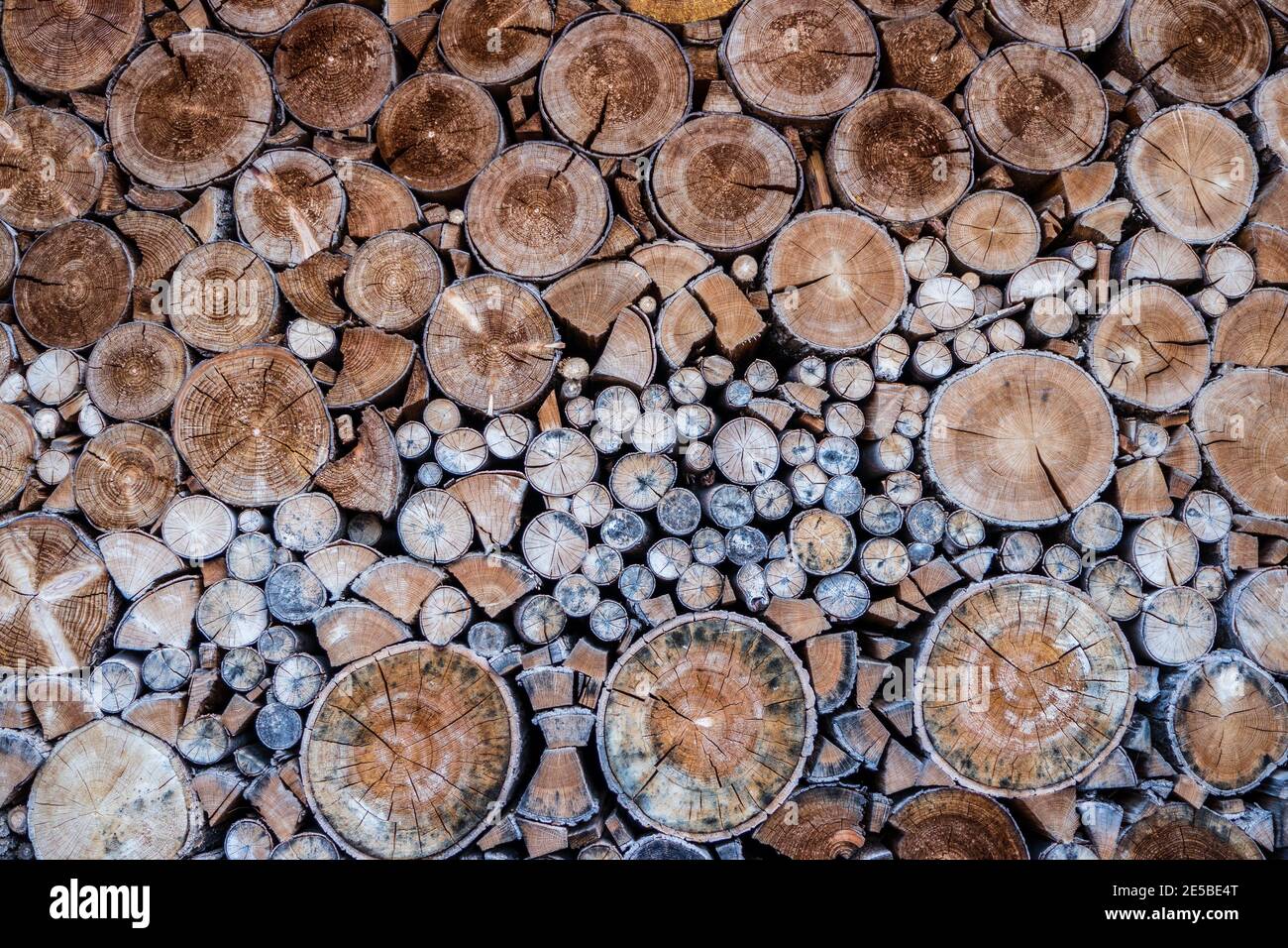 Wall made of tree trunks Stock Photo - Alamy