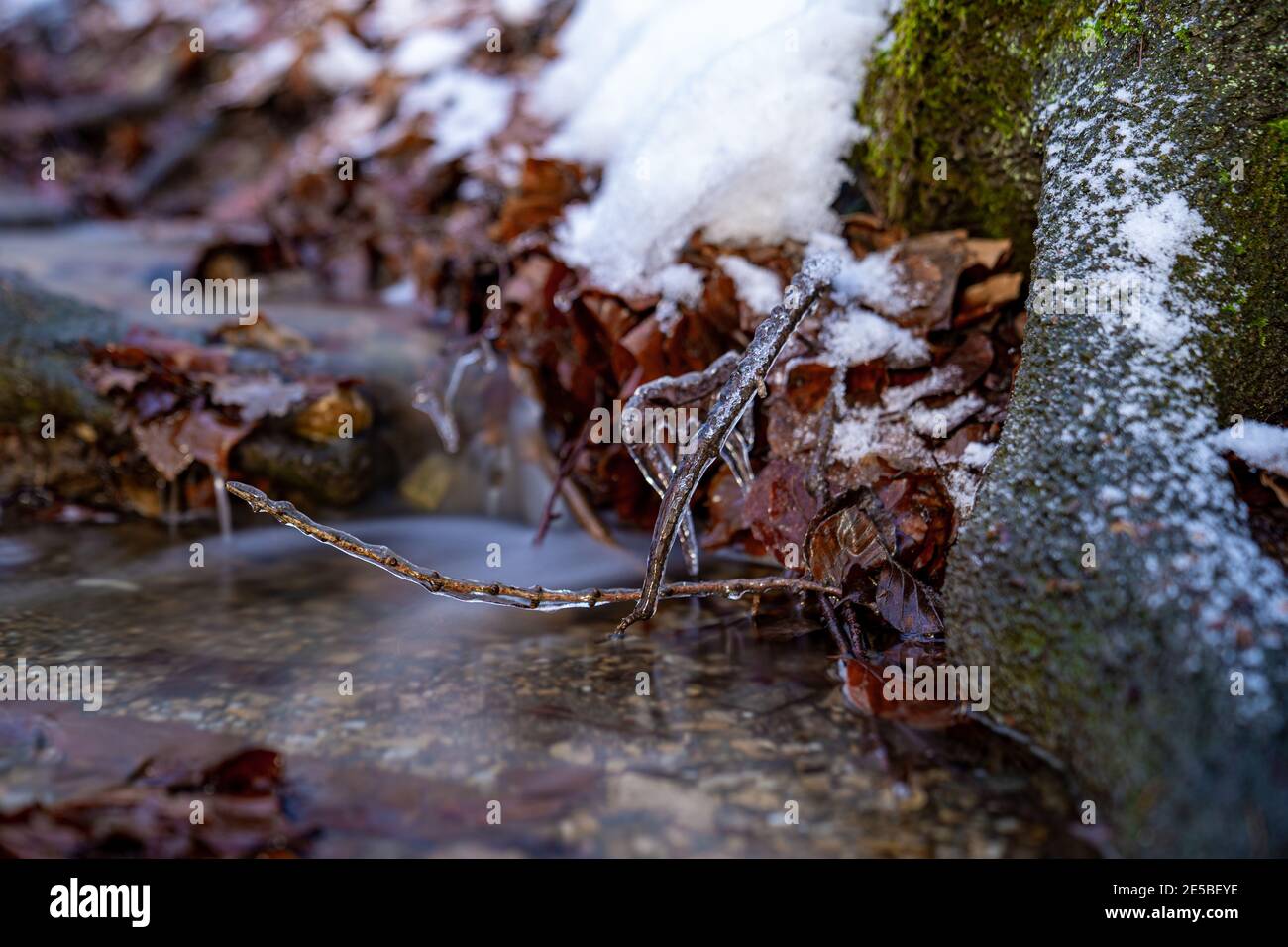 Forest nature frozen stream hi-res stock photography and images - Alamy