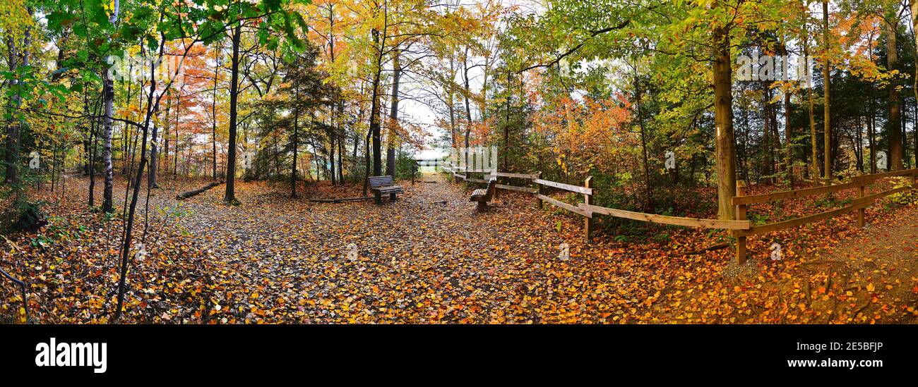 Panoramic view of the natural parkland with park bench and fence Stock ...