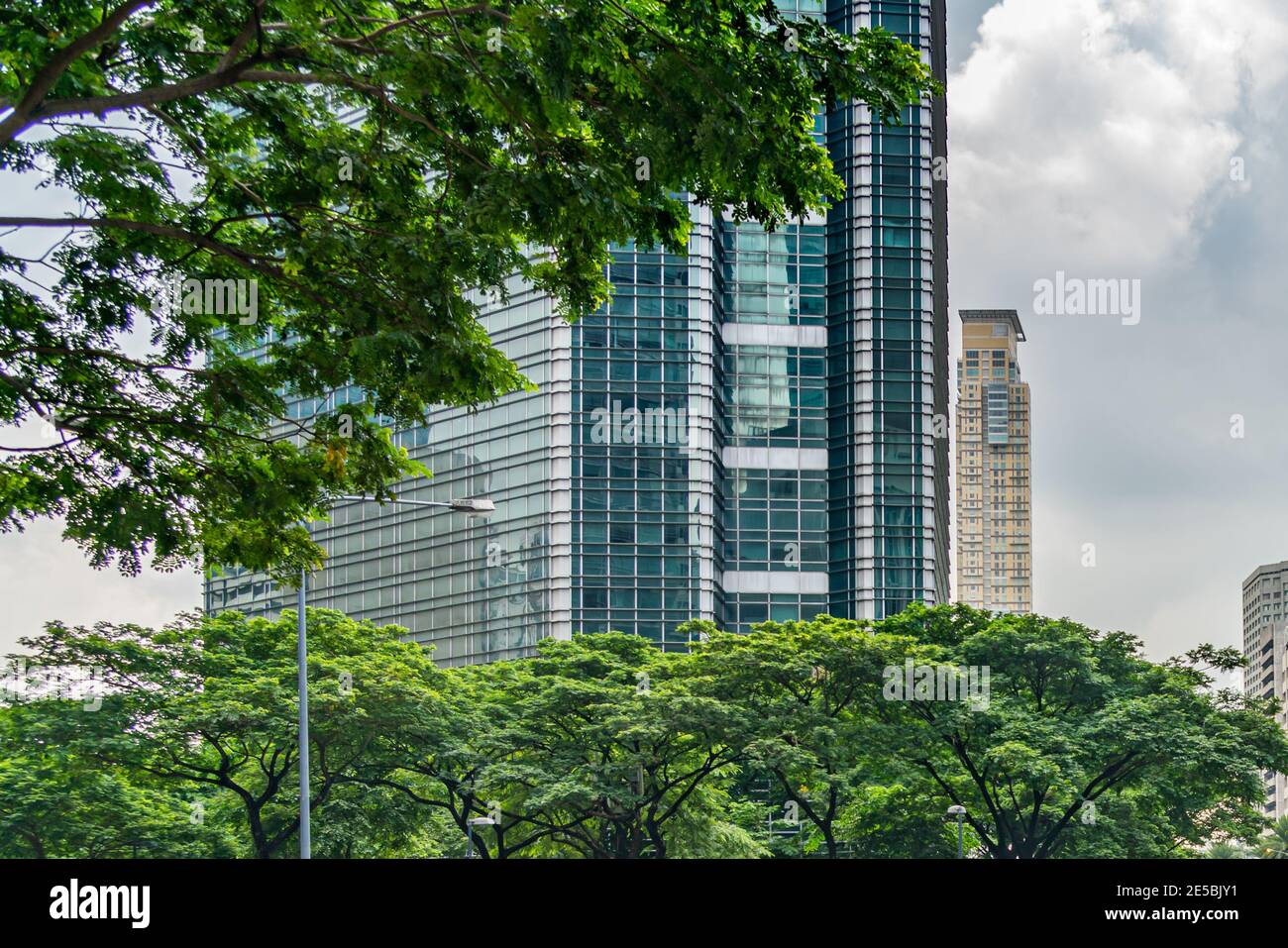 Futuristic highrise financial tower and trees at the park outside ...