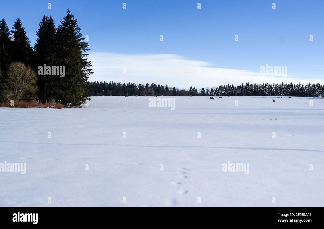 Snow-covered field. Rural landscape in winter Stock Photo - Alamy