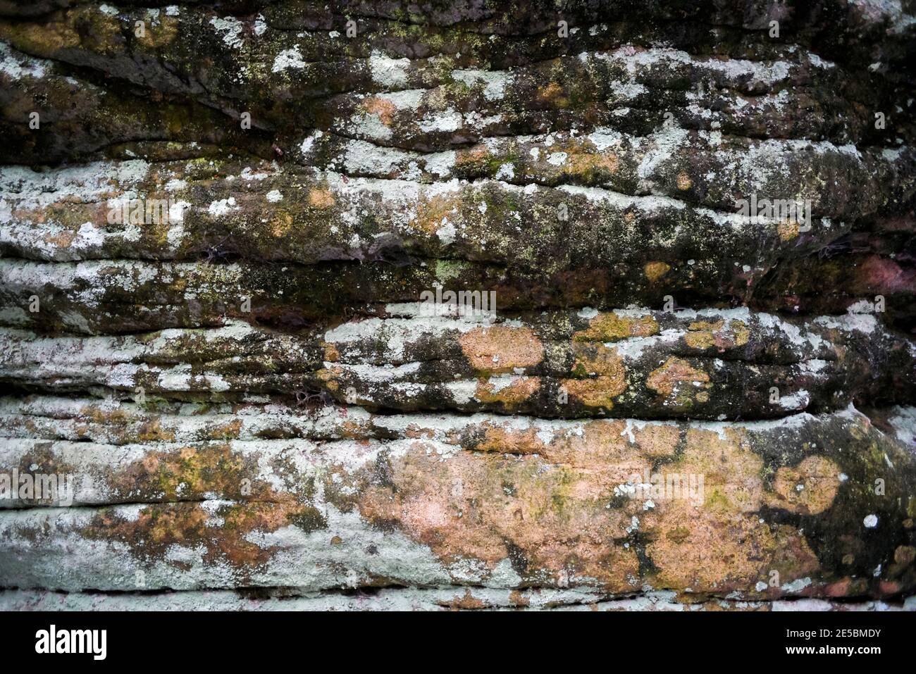 Corroded sandstone rock in the forest, texture Stock Photo - Alamy