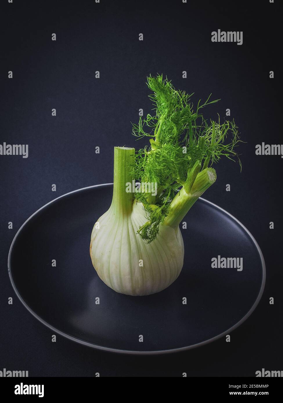 Single fresh fennel bulb with green leaves on blue plate and blue ...