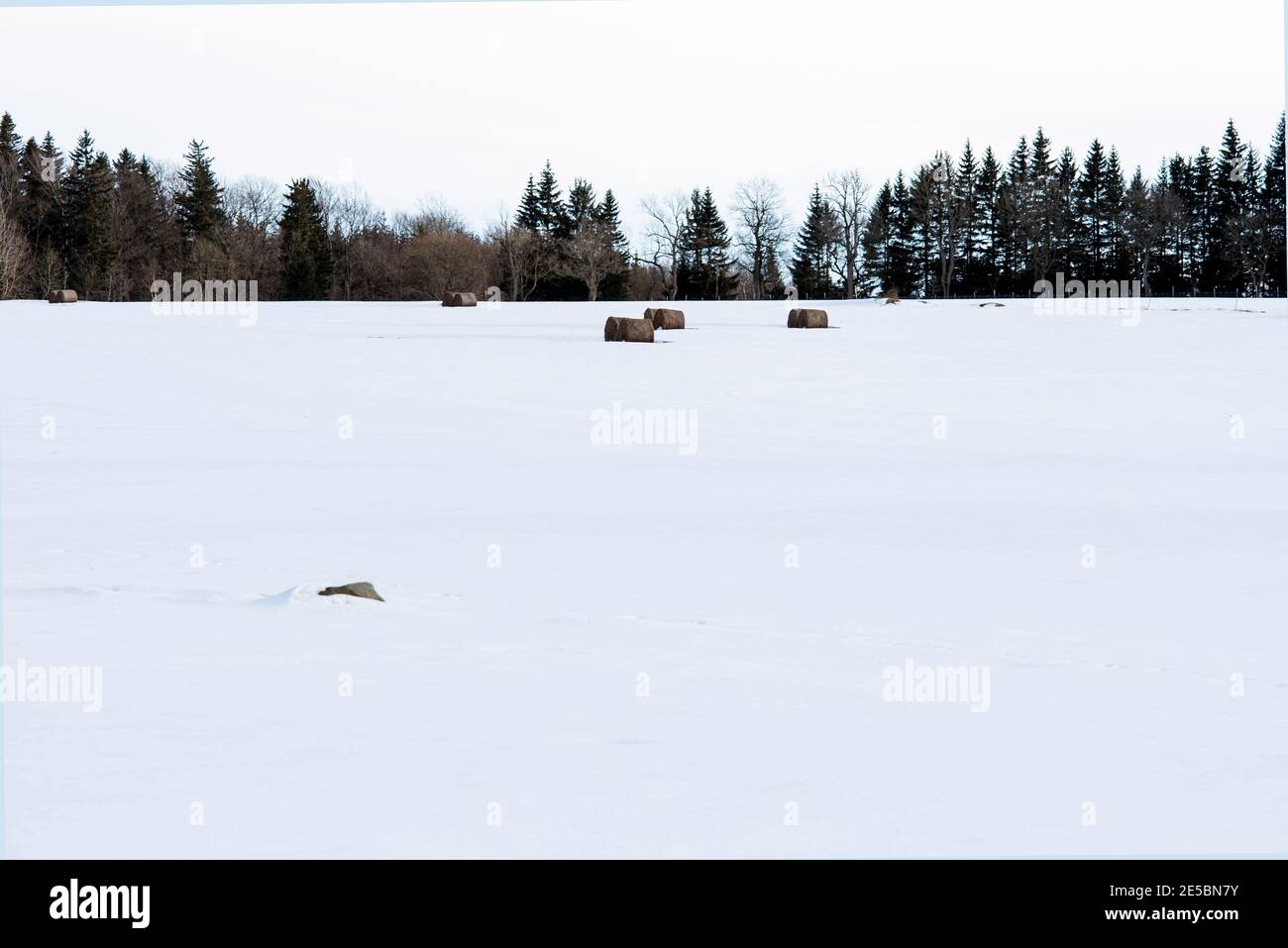 Snowstorm and field and road hi-res stock photography and images - Alamy