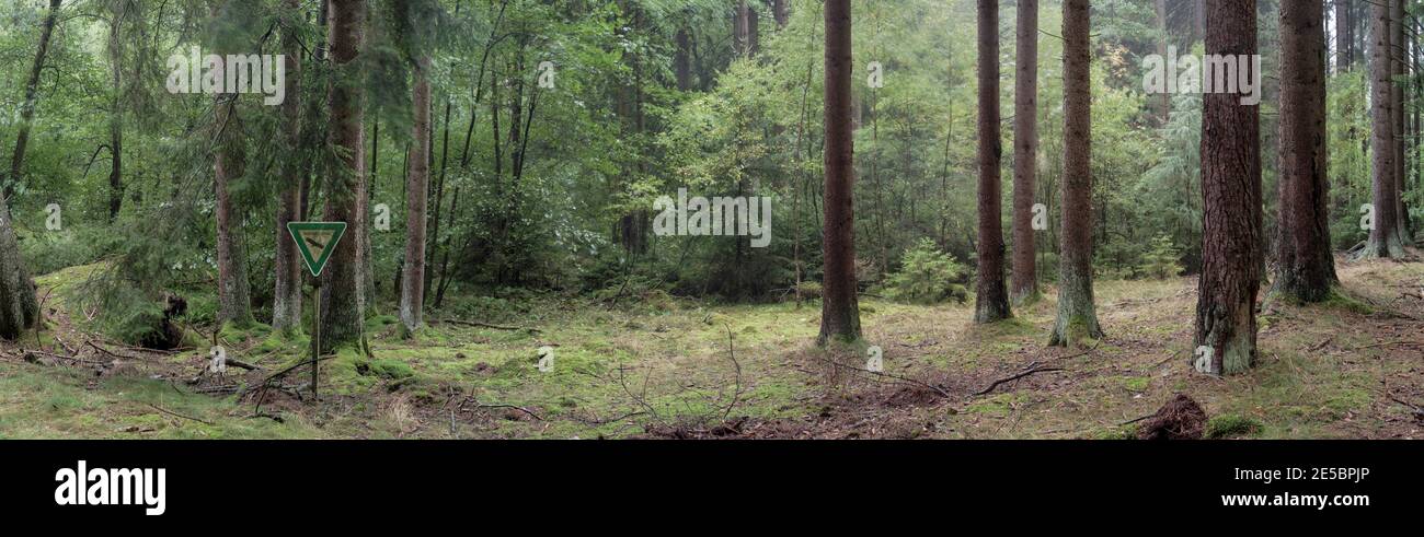 Forest with nature protection shield in germany , a nice photo Stock ...