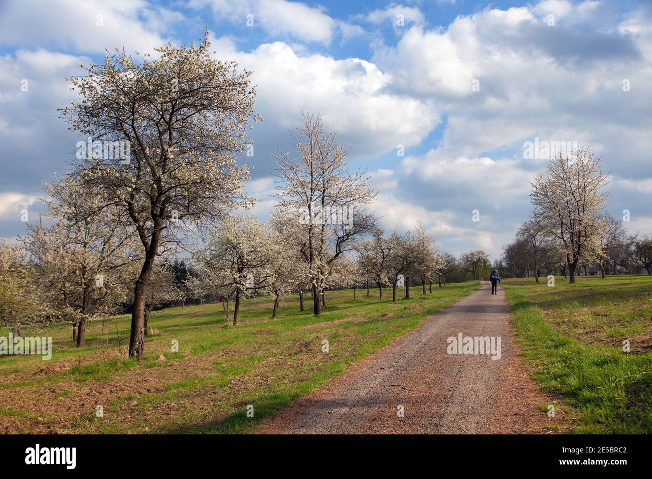 Rodad hi-res stock photography and images - Alamy