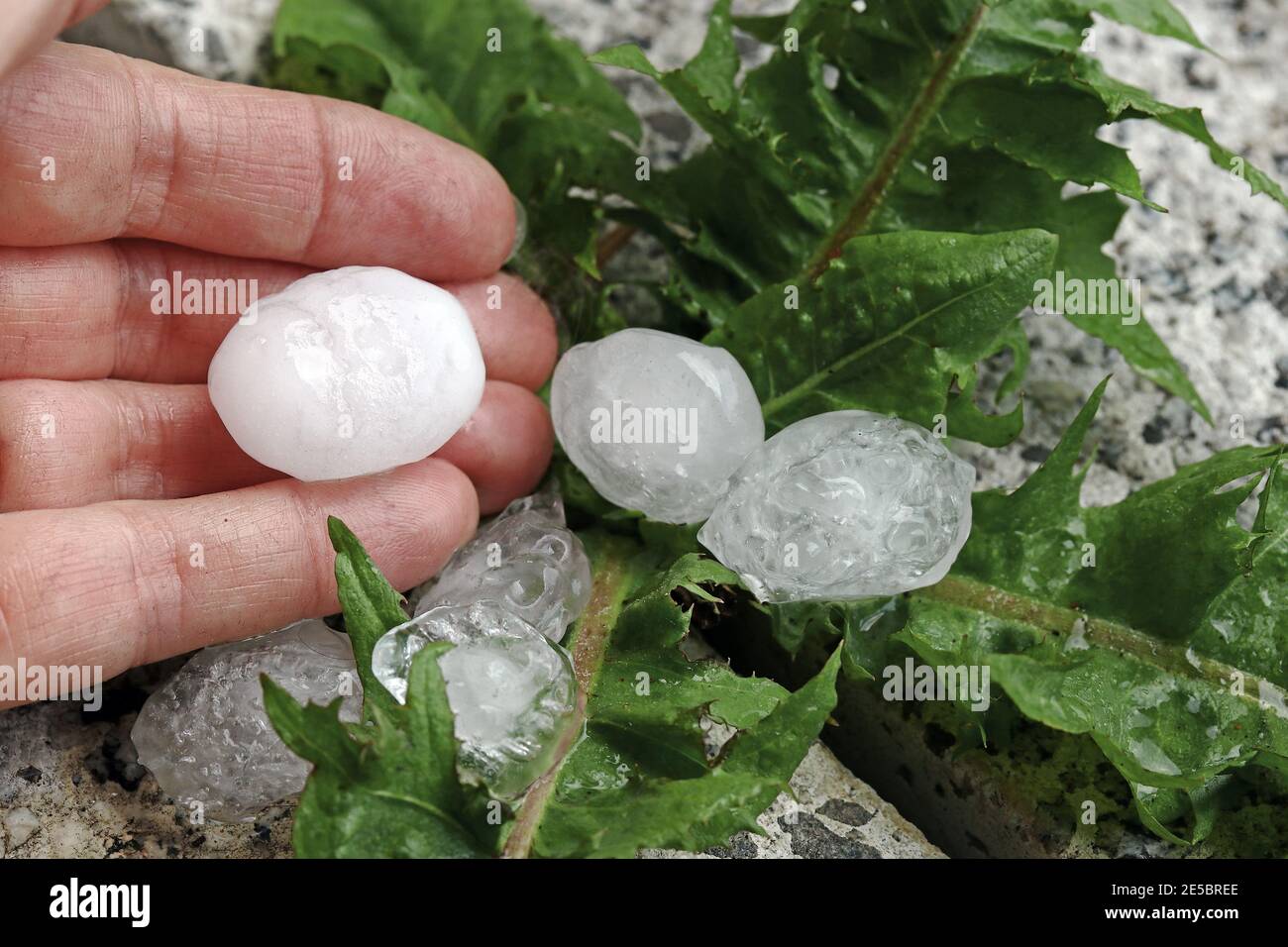 Large hailstones road hi-res stock photography and images - Alamy