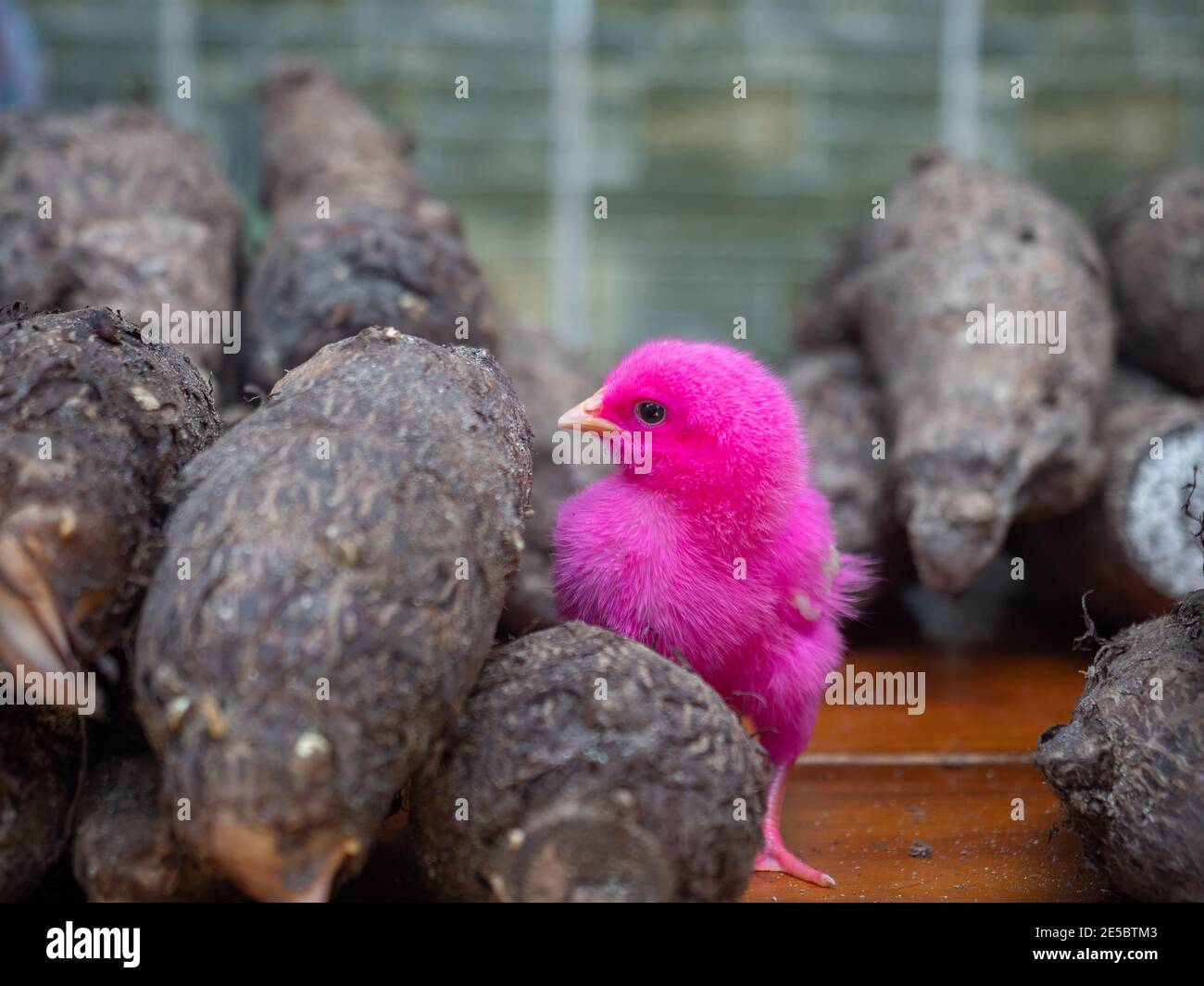 Ekstern hi-res stock photography and images - Alamy