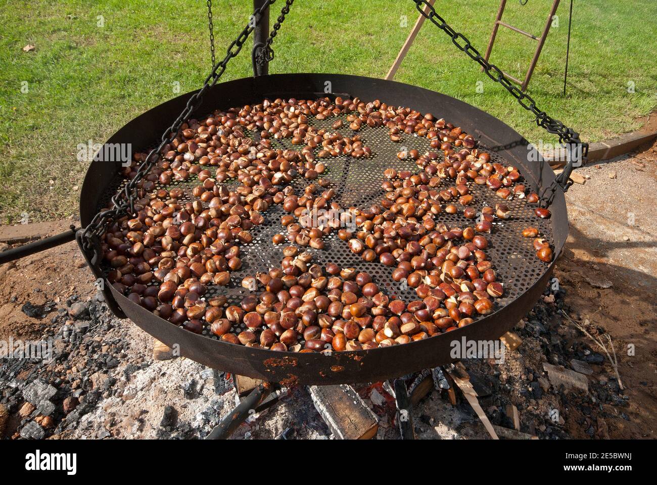 Chestnuts roasting on brazier during the Autumn Festival in Abbadia San ...