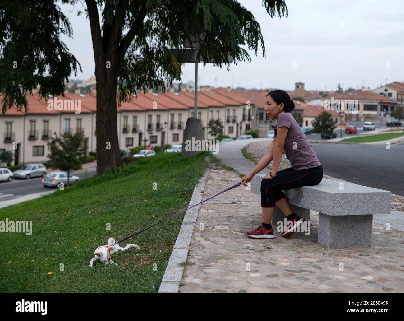 woman thinking while walking the dog Stock Photo - Alamy