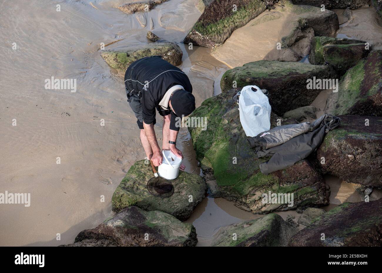 shellfishman taking advantage of the low tide Stock Photo - Alamy