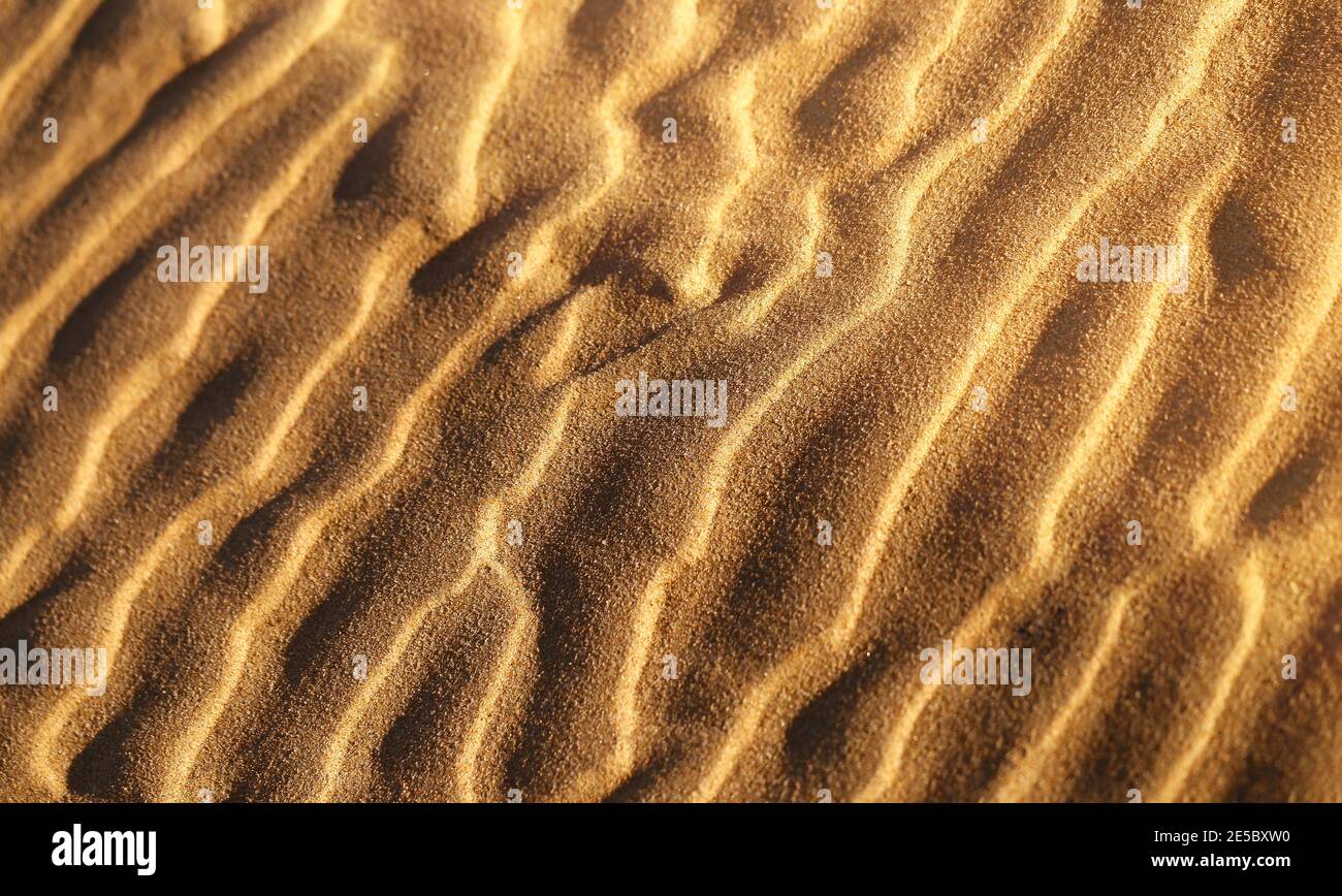Beautiful photo background of golden sand on a tropical beach Stock ...