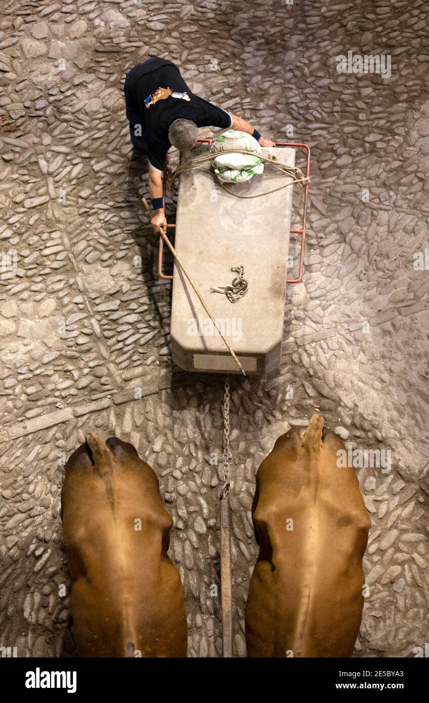 oxen dragging stone Stock Photo - Alamy