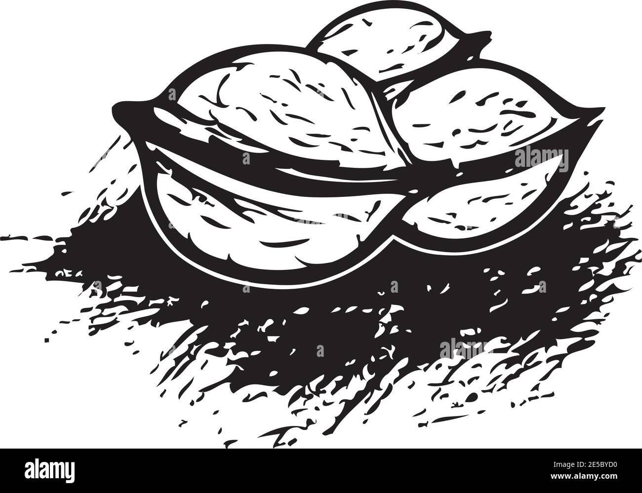3 Walnuts in Black and White - Illustration Stock Vector Image & Art ...
