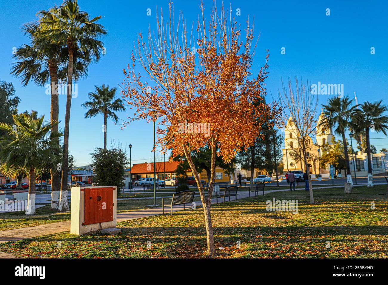 Cumpas, Sonora, México. Pueblos de mexico. Pueblos de sonora (Photo By ...