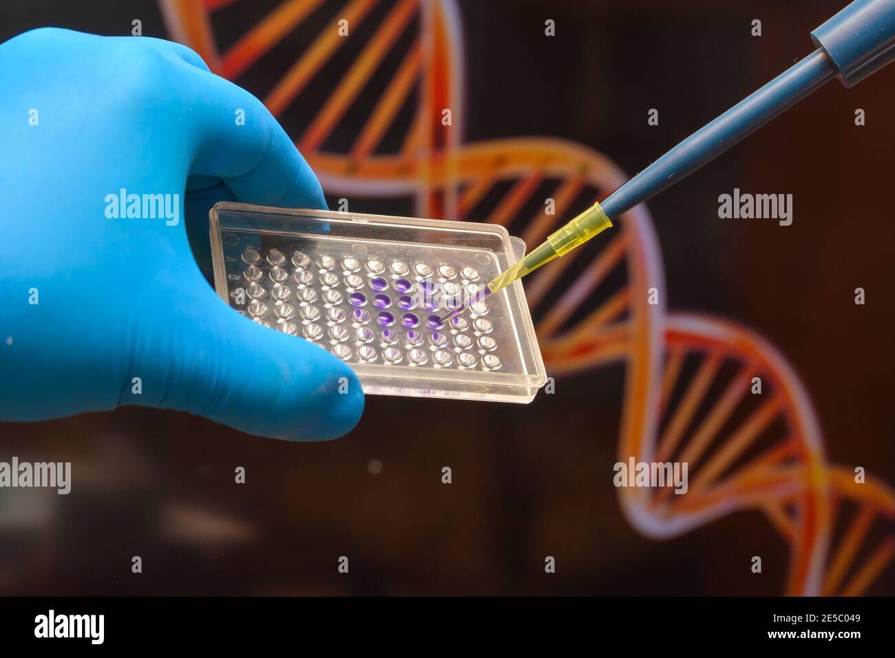 Dna testing in the field hi-res stock photography and images - Alamy
