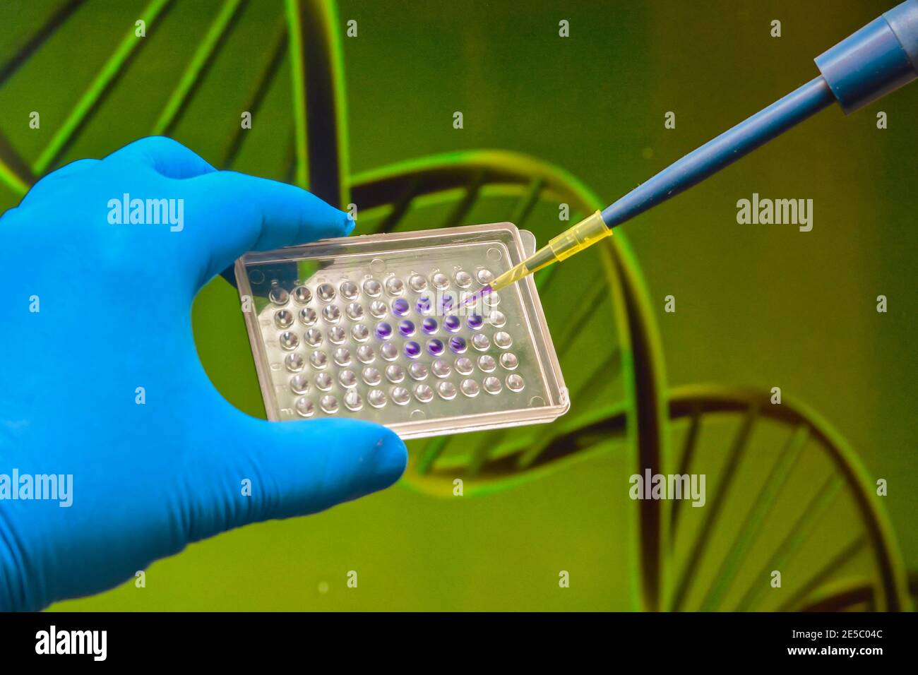 Genomic structure hi-res stock photography and images - Alamy