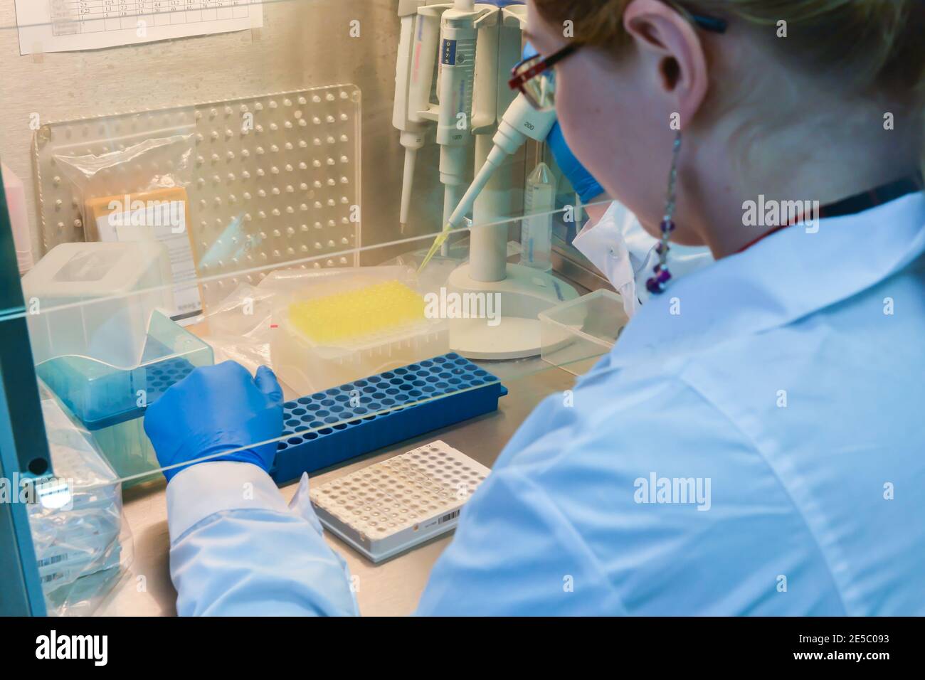 Laboratory employee workplace. Equipment for biological research Stock ...